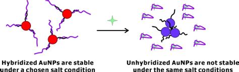 Simple And Rapid Colorimetric Biosensors Based On Dna Aptamer And Noncrosslinking Gold