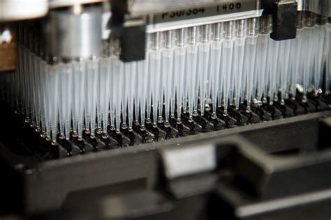 Make Your Sanger Sequencing Cost Effective