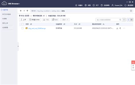 【玩转华为云】手把手教你用modelarts基于海量数据训练猫狗分类模型 Csdn博客