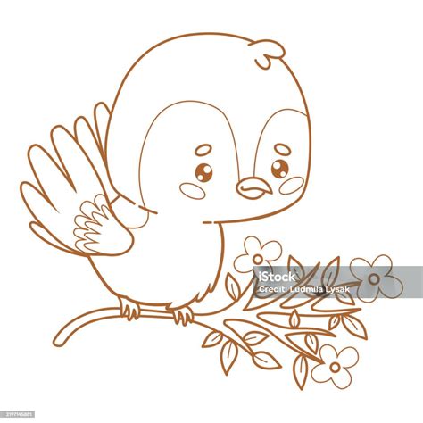 꽃이 만발한 가지에 만화 참새를 윤곽선 재미 있은 귀여운 캐릭터 작은 새 선화 색칠 공부 벡터 일러스트 레이 션 가공의 인물에 대한 스톡 벡터 아트 및 기타 이미지 Istock