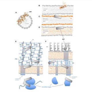 NMR Approaches To Study Structural Mechanisms A Solution NMR Download Scientific