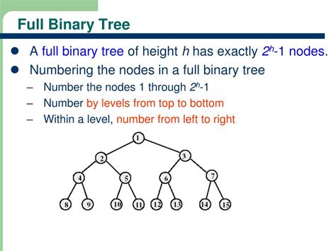 Ppt General Tree Concepts Binary Trees Powerpoint Presentation Free