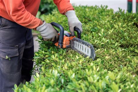 修剪草坪高清图片下载 正版图片 摄图网