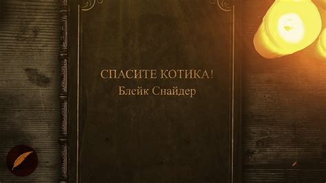 «Спасите котика!» - система Блейка Снайдера #PROписныеИстины - YouTube