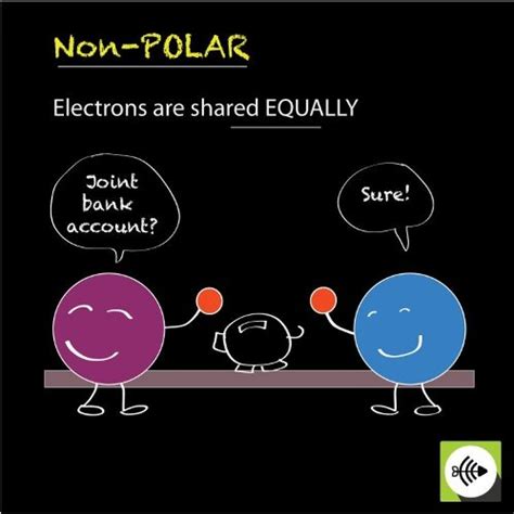 Facts About Covalent Bonds Fact File