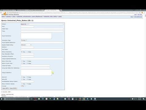 ArcGIS Server X Return Distinct Values From Query Window For Arcgis Rest Services Server