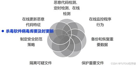 信息安全与技术——（十一）恶意代码检测与防范技术 csdn博客