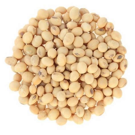 Kds 726 Dry Soybean Seeds At ₹ 158kg In Neemuch Id 2855430142873
