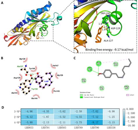 Enhanced Chemotaxis And Degradation Of Nonylphenol In Pseudoxanthomonas Mexicana Via Crispr