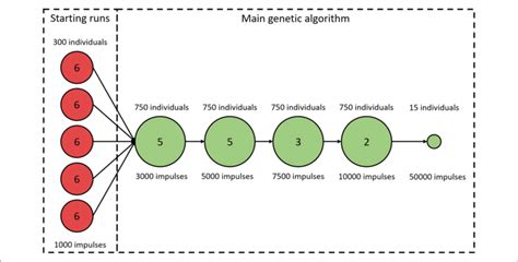 A Schematic Representation Of The Genetic Algorithm Circles Download Scientific Diagram
