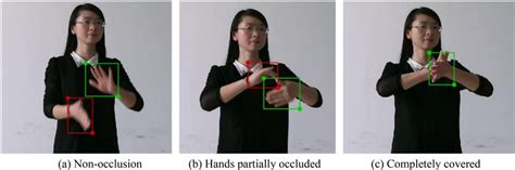 Schematic Diagram Of Annotation Image Download Scientific Diagram