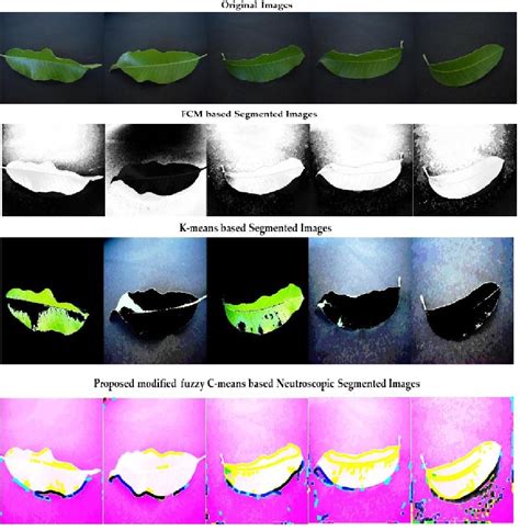 Figure 7 From Botanical Leaf Disease Detection And Classification Using
