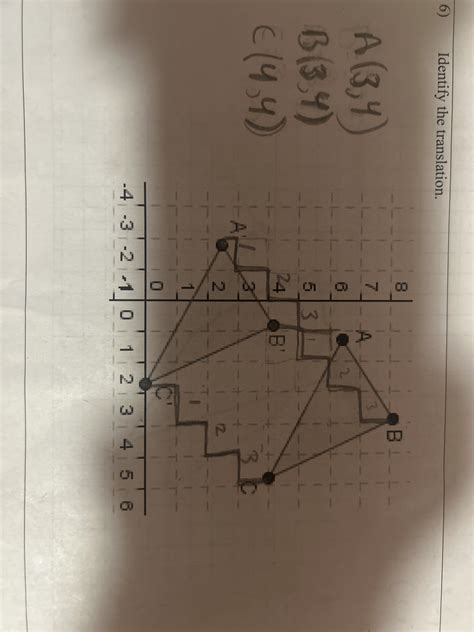 6 Identify The Translation Chegg Com