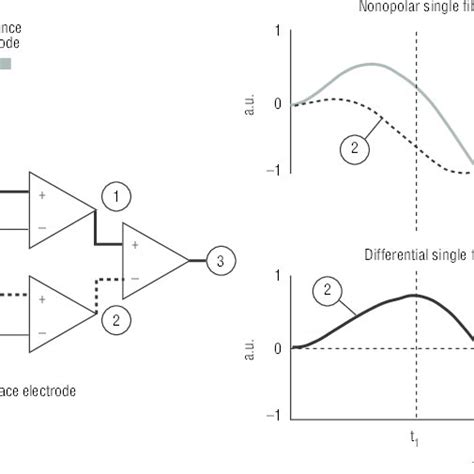 Pdf Surface Electromyography Why When And How To Use It