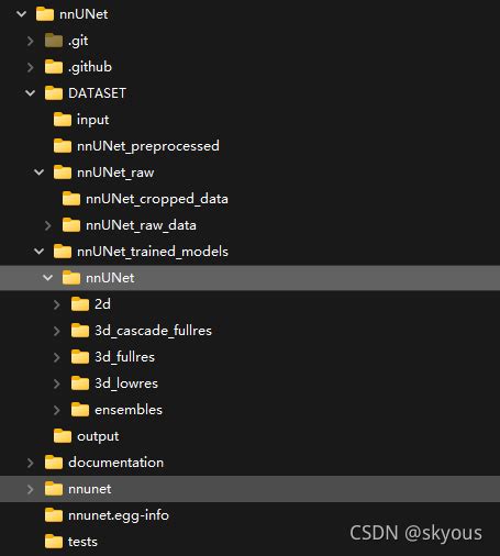 nnunet 在windows 10 上使用 windows下实现nnunet预训练模型下载 csdn博客