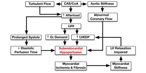 Pathophysiology Of Subendocardial Hypoperfusion Algorithm