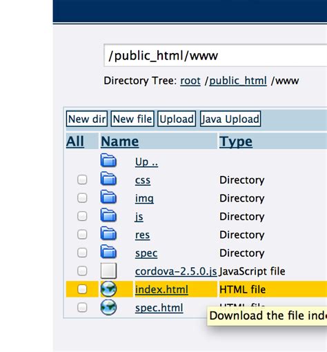 Using Phonegapcordova On Ios With External Url Stack Overflow