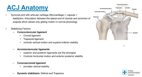 Sne Acj Dislocation Flashcards Quizlet