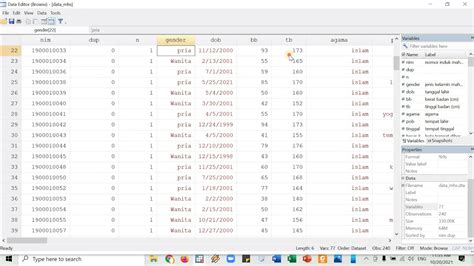 Tutorial Stata Basic Membuat Variabel Dummy Youtube