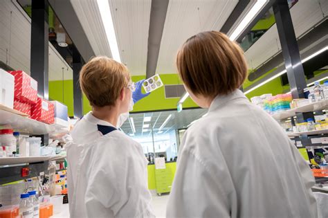 Leveraging Stem Like Memory T Cells For Effective Anti Cancer Mrna