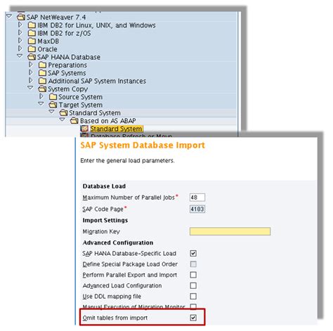 Using Swpm And Oracles Plsql Splitter For Migrat Sap Community