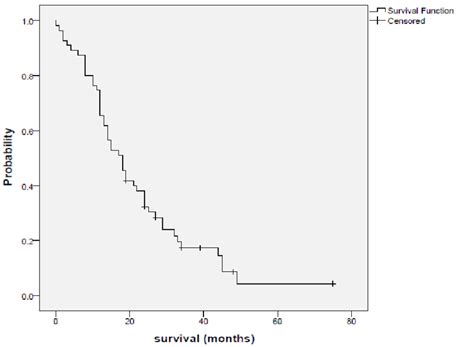 The Survival Rate Of Patients With Gbm Download Scientific Diagram