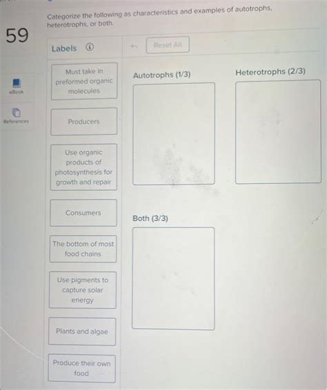 Solved Categorize The Following As Characteristics And