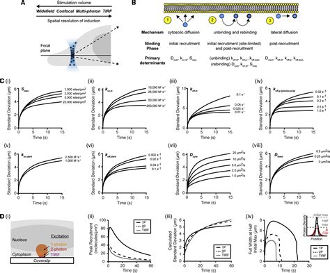 computational framework for single cell spatiotemporal dynamics of