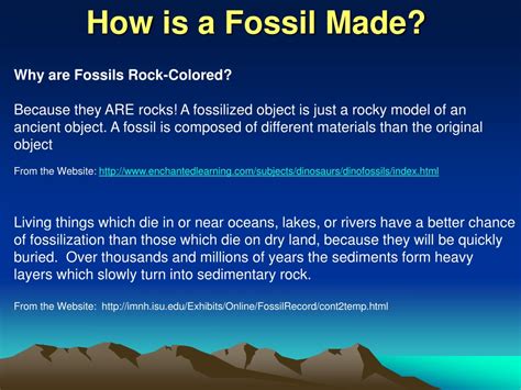 PPT Science Olympiad Fossils Division B 2015 2 How Fossils Are Made PowerPoint Presentation