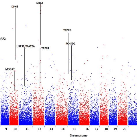 genome scan for selection signatures in local goat breeds obtained by