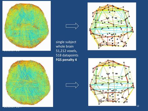 From Brain Images To Causal Connections Center For Causal Discovery CCD BD K All Hands Meeting