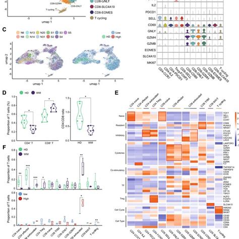 Distinct Nk Cells In Wm From Hd A T Sne Projections Of Subclustered Nk Download Scientific