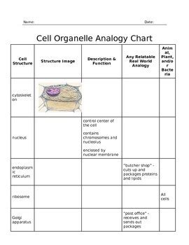 Cell Structure Chart Ponasa