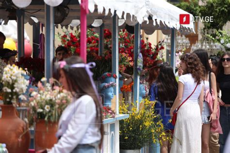 26 მაისი საქართველოს დამოუკიდებლობის დღე [ფოტო ვიდეო] 1tv