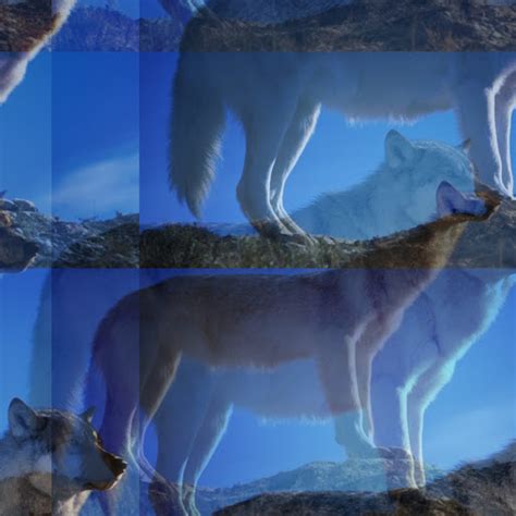 Quadrinomial Youtube Music