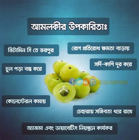 দেশি বিদেশী রান্না সবজির শিঙাড়া সবজির শিঙাড়া তৈরির পদ্ধতি জেনে নিন