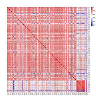The Pearson Correlation Analysis Heatmap Of Normalized Expression Data Download Scientific