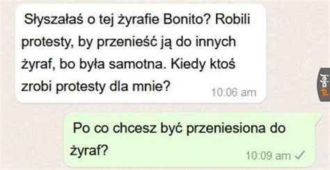 Czemu Ci Na Tym Tak Zale Y Jeja Pl