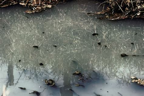 Wireline Logging Tools