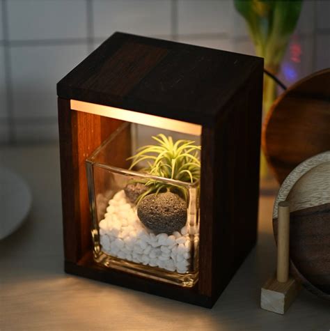 우드 플랜테리어 테라리움 무드등 Diy 키트 엑셀로 메이커스