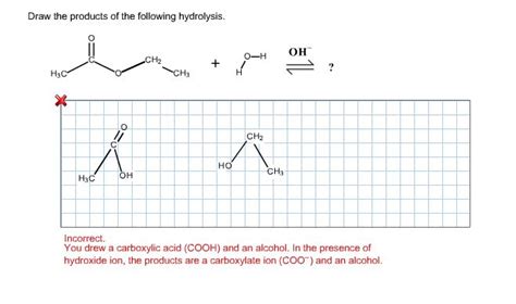 Solved Draw the products of the following hydrolysis. You | Chegg.com