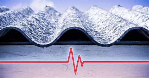 Understanding Asbestos Testing Services What To Expect