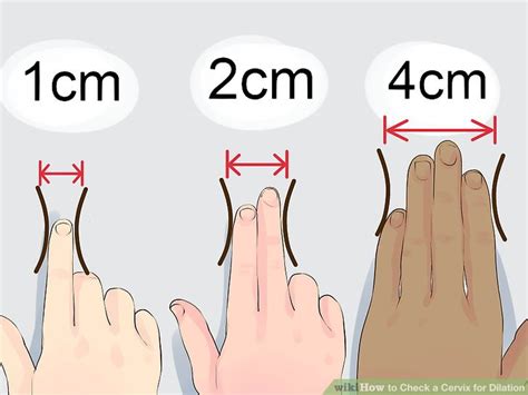 How To Check A Cervix For Dilation 14 Steps With Pictures