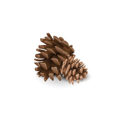 Pine Cone Seed Vectors And Illustrations For Free Download Freepik