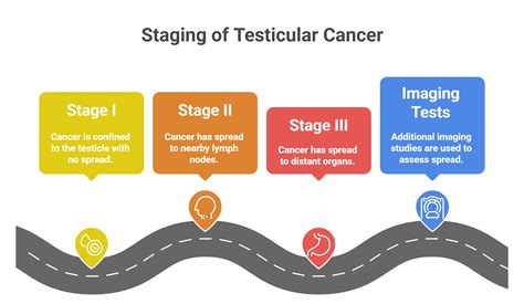 Testicular Cancer What Every Man Should Know