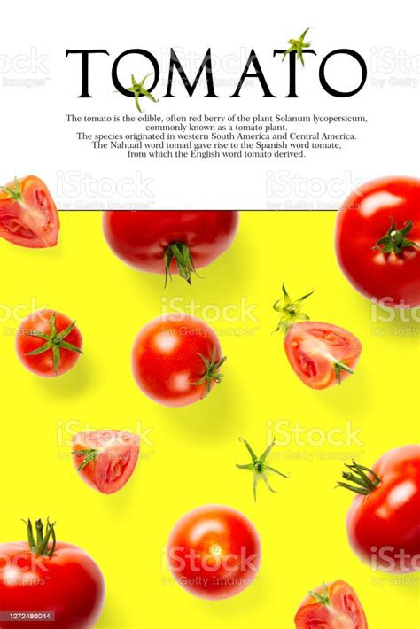 노란색 배경에 토마토로 만든 창조적 인 레이아웃 흰색 배경에 간단한 텍스트와 토마토의 창조적 인 평면 누워 세트 복사 공간 0명에 대한 스톡 사진 및 기타 이미지 Istock