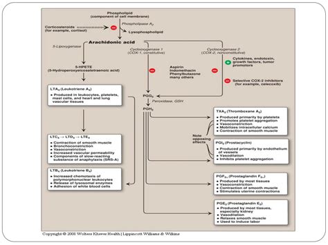 Lipid Structure And Function Biochemistry Pdf