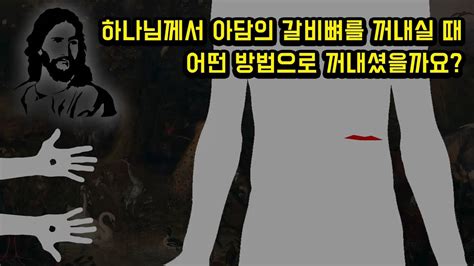 성경 아담과 하와 기록의 과학적원리 Part 4 Youtube