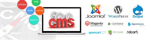 CMS Development Web Design App Development SEO Social Media Marketing Virtual