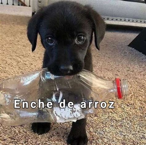 Create A Cvc Tier Tier List Tiermaker